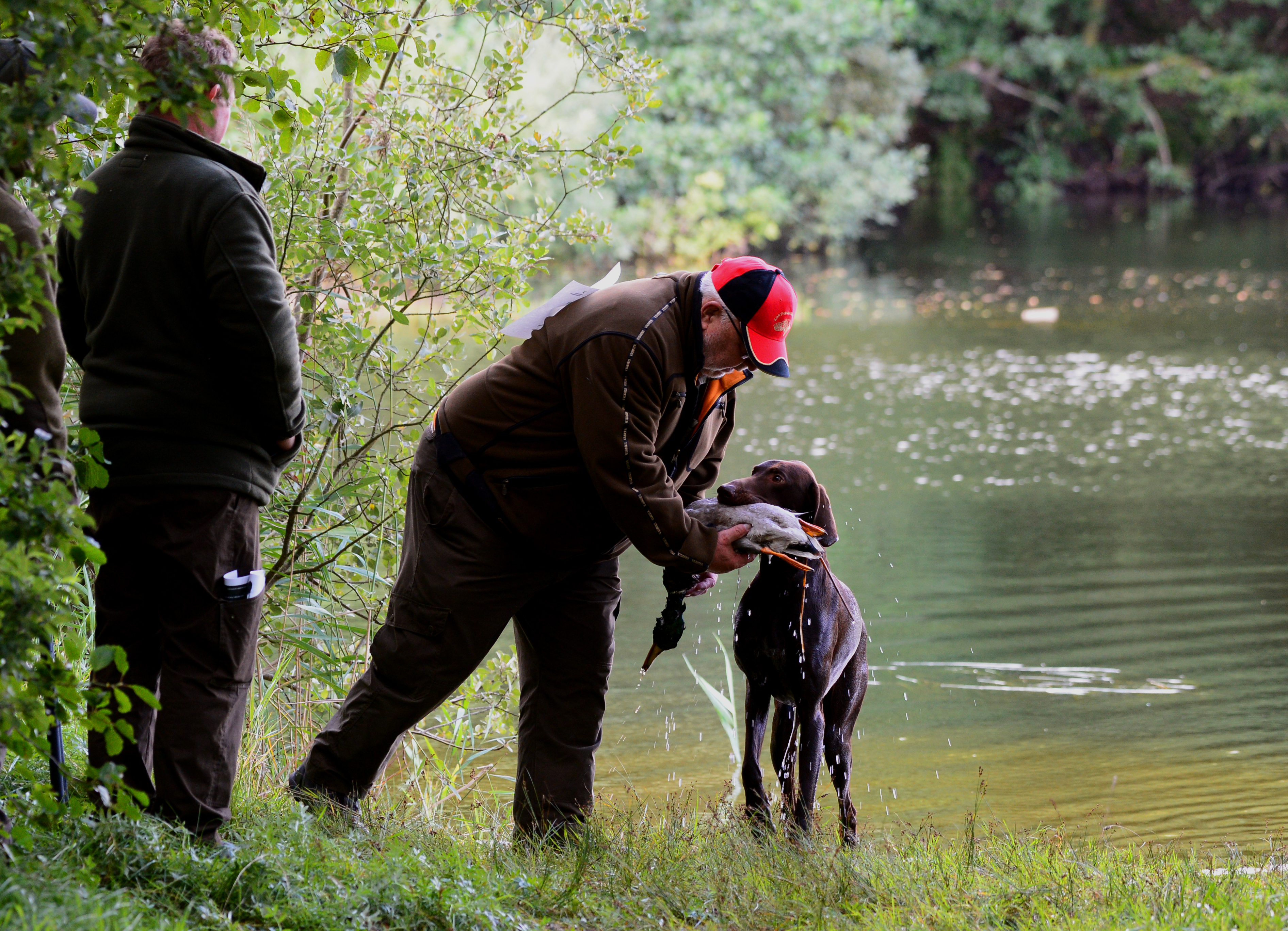 Danmarks bedste jagthunde kåret - Danmarks Jægerforbund
