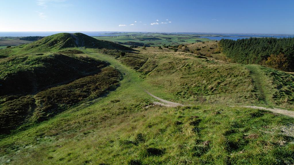 Høringssvar afgivet af Danmarks Jægerforbund - Danmarks Jægerforbund