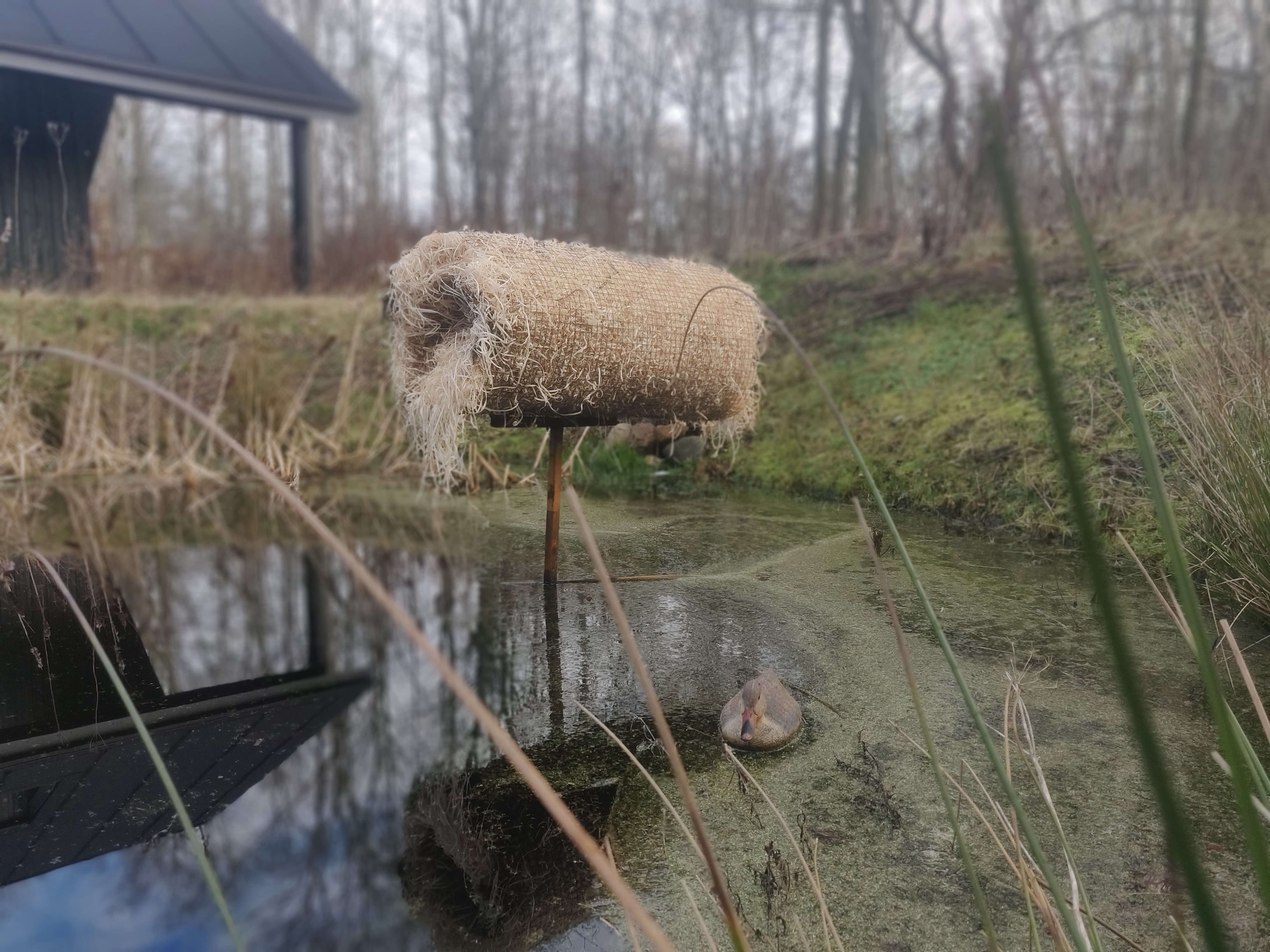 Duck tube - Danmarks Jægerforbund