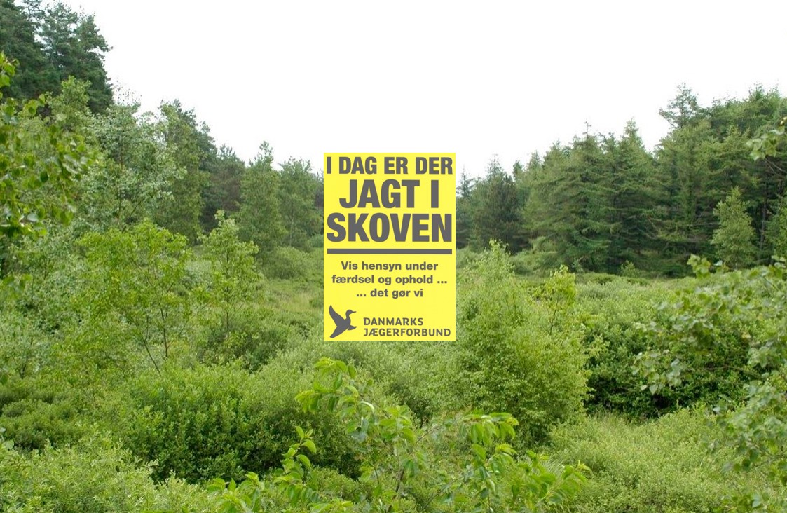Vis gensidigt hensyn i naturen - Danmarks Jægerforbund