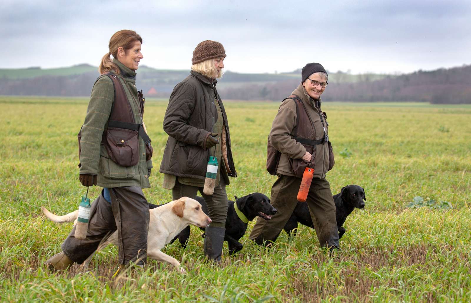 Nye tests og prøver til alle jagthunde - Danmarks Jægerforbund