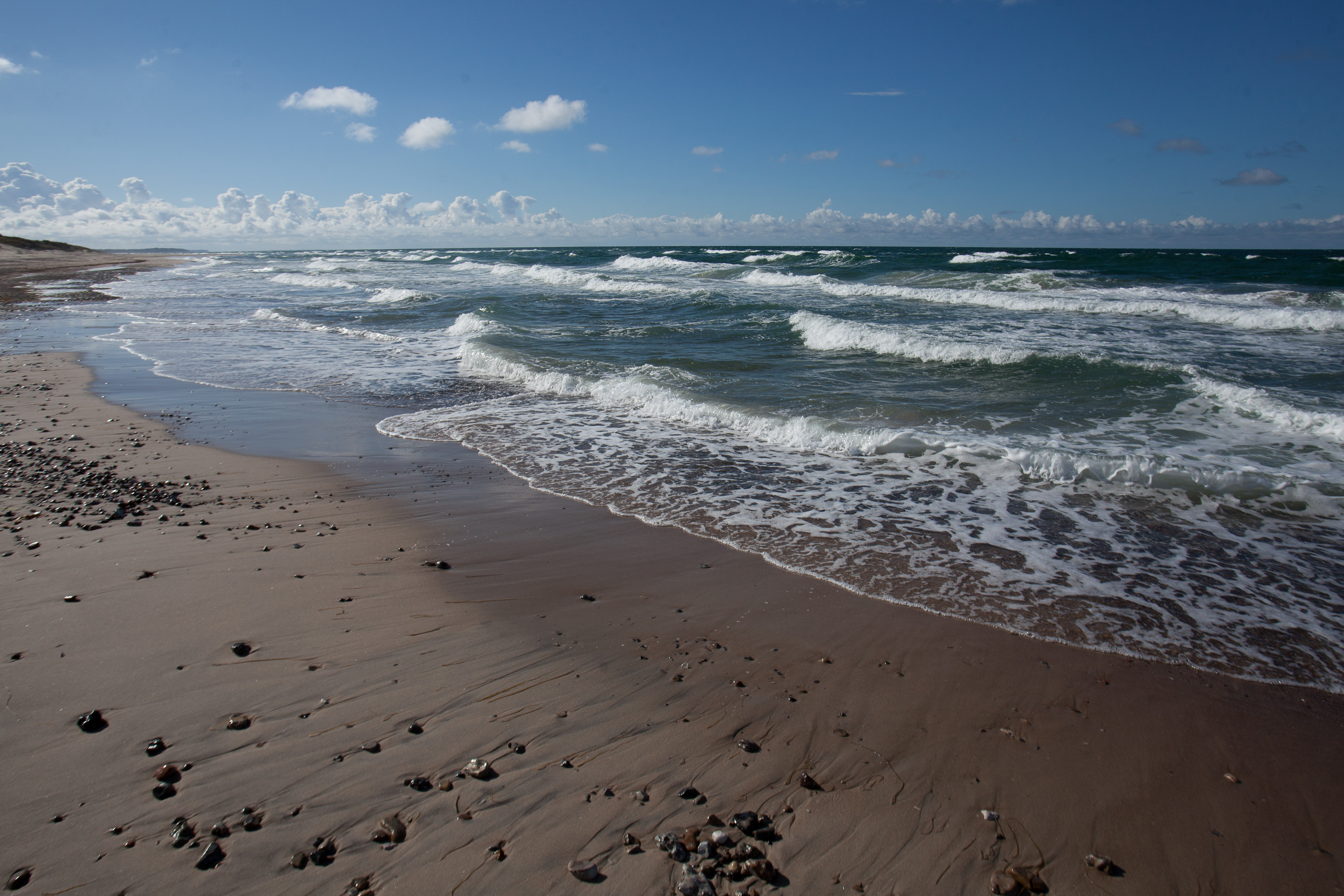 Tænketanken Hav – og hvorfor DJ er med - Danmarks Jægerforbund