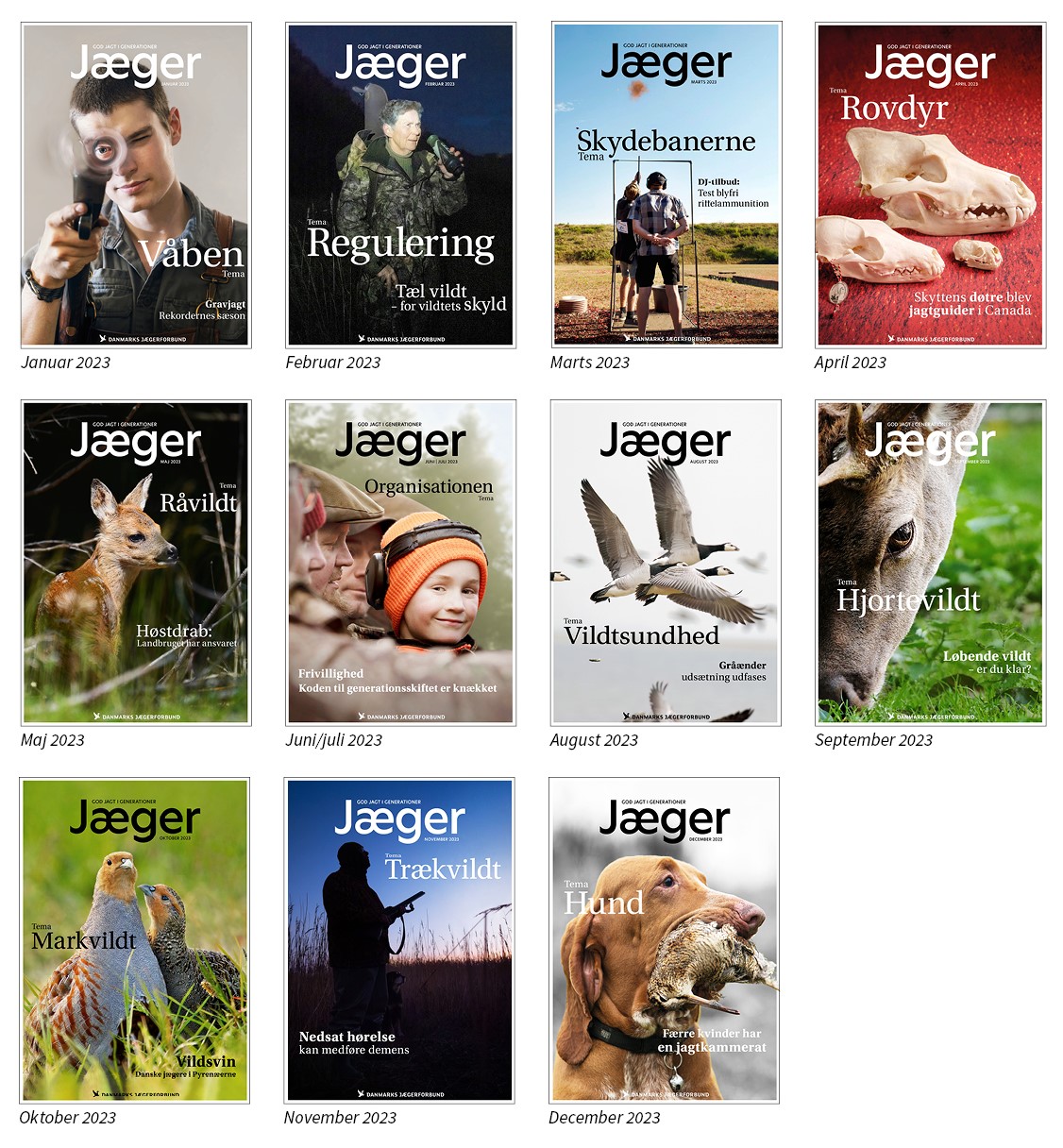 Årets forsider 2023: Hvilken er bedst? - Danmarks Jægerforbund
