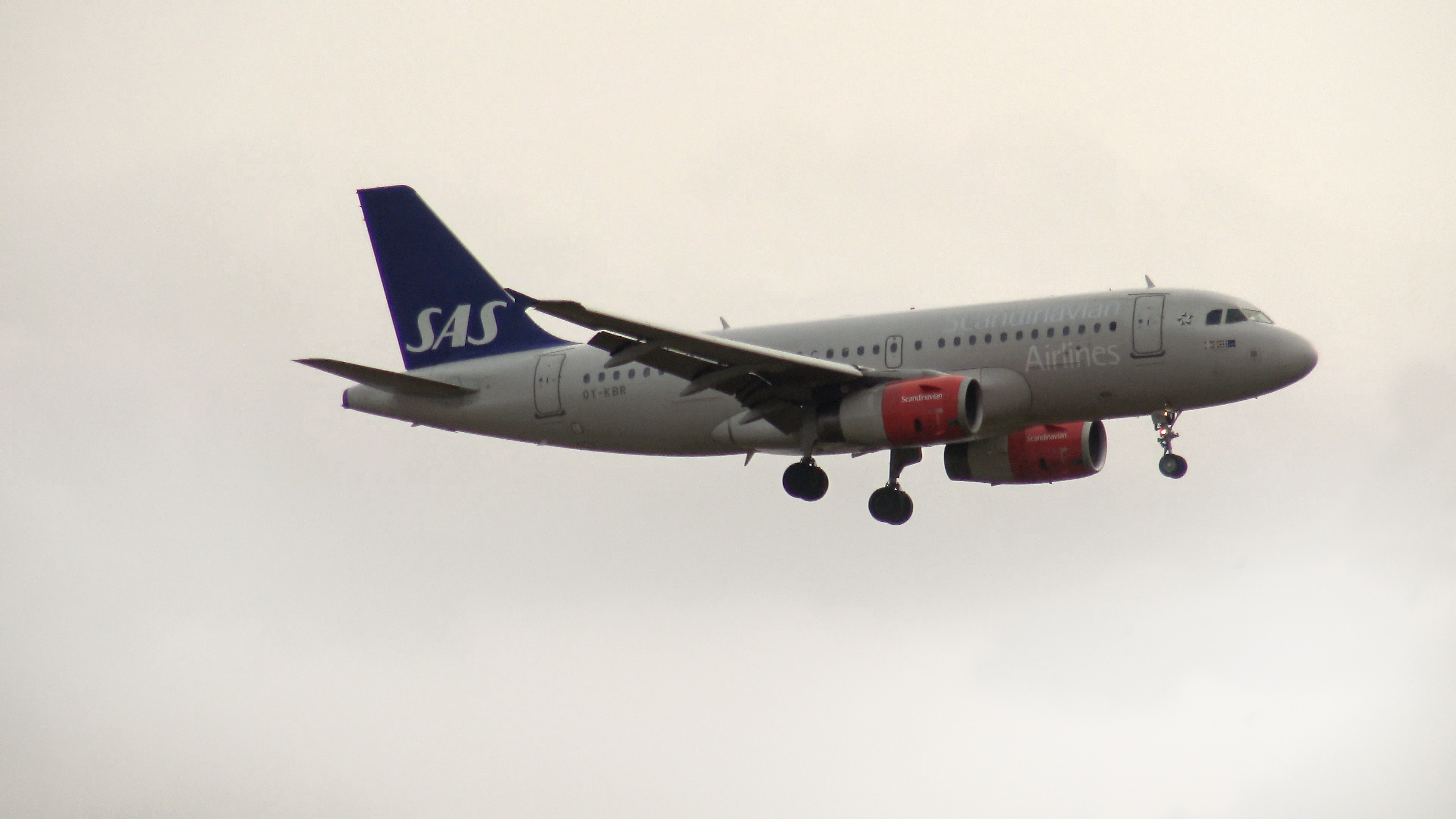 Flyv uden besvær - Danmarks Jægerforbund